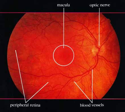 Eye Operations – OFFLINE – Pantheo Eye Center